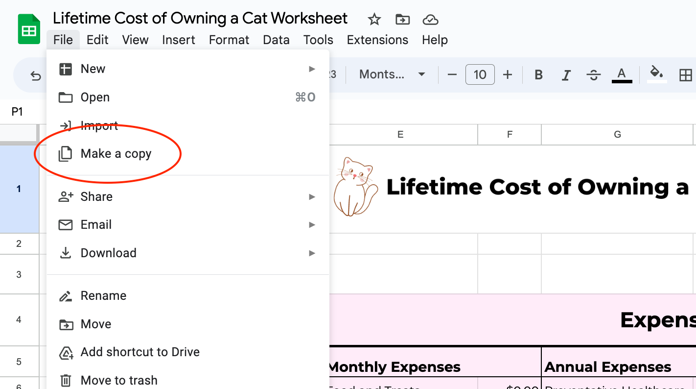 Worksheet: Estimate The Cost of Owning a Cat - Top Dollar